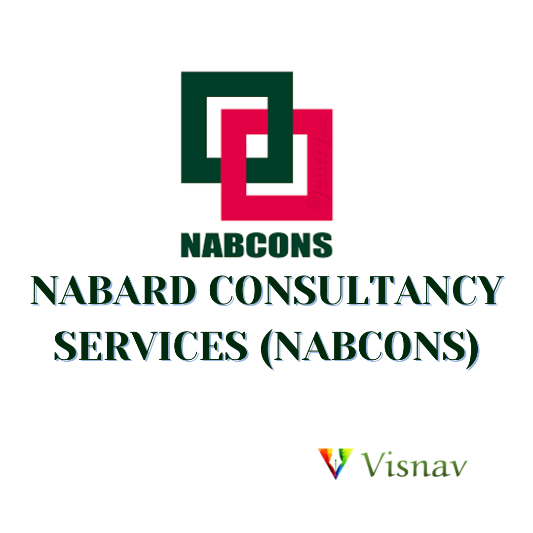 NABCONS Junior Level Consultant Recruitment 2022 Visnav